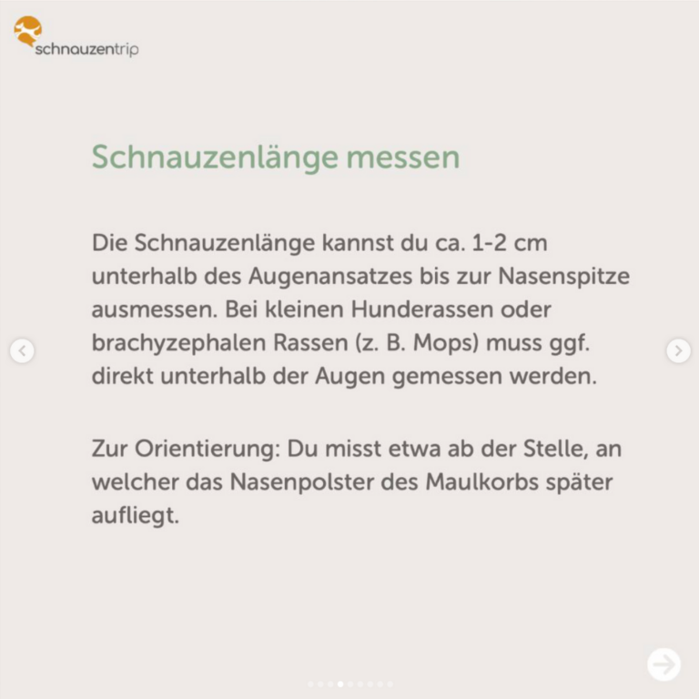 Maulkorb richtig ausmessen: Passt, wackelt und hat Luft! - Schnauzentrip